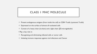 Major Histocompatibility - Complex -Immune system | PPTX