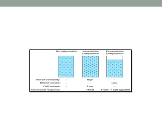 Thirst and salt appetite | PPTX