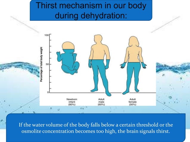 Thirst mechanism during dehydration | PPTX