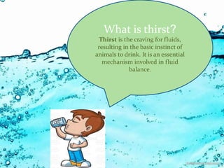 Thirst mechanism during dehydration | PPTX