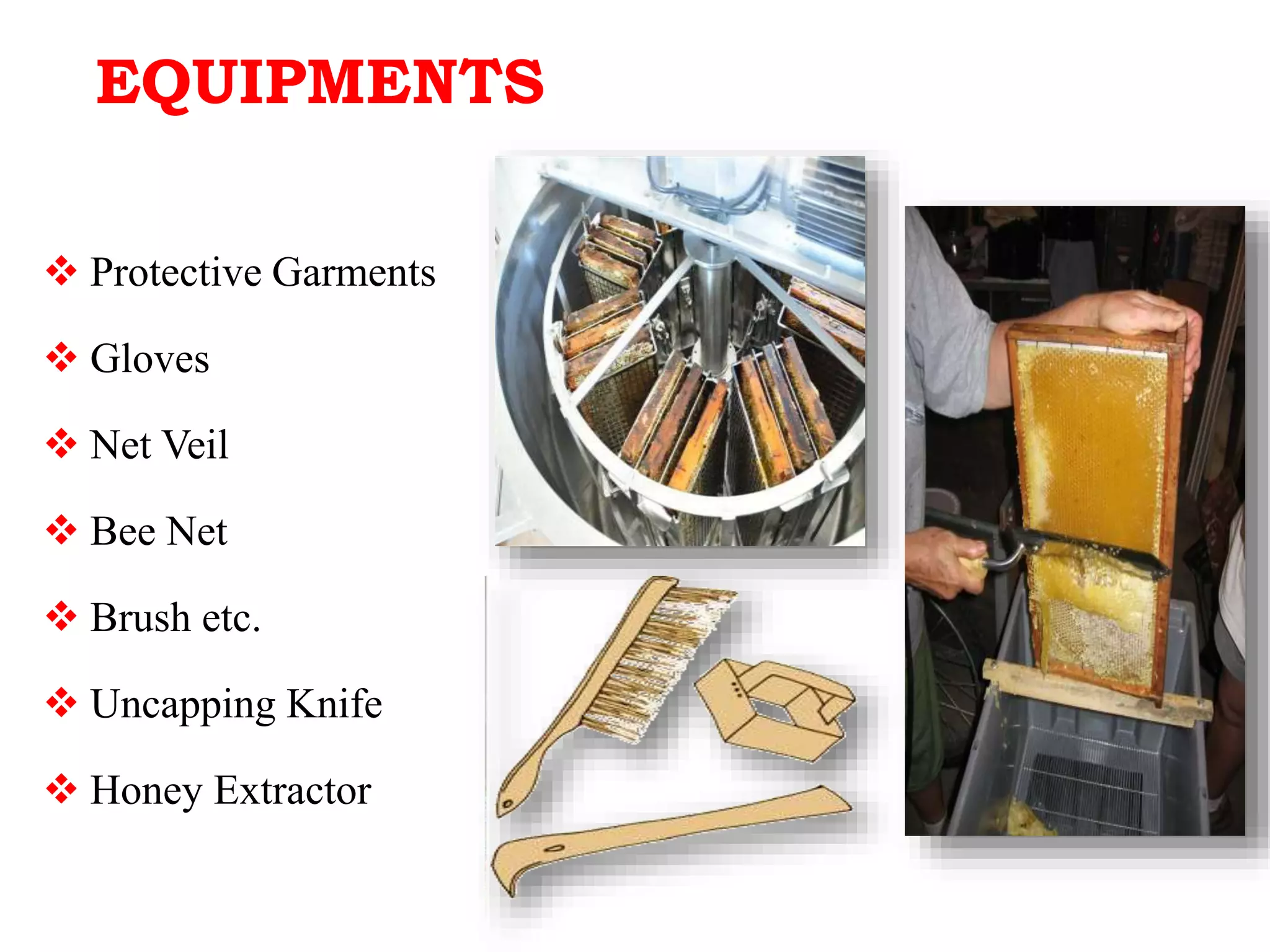 The Rural Agricultural Work Experience (RAWE) | PPTX | Agriculture ...