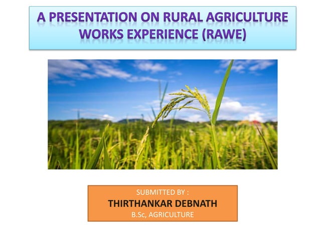 The Rural Agricultural Work Experience (RAWE) | PPT