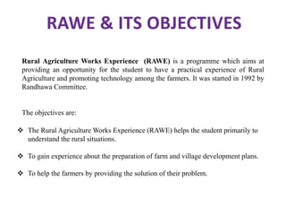 The Rural Agricultural Work Experience (RAWE) | PPTX | Agriculture ...