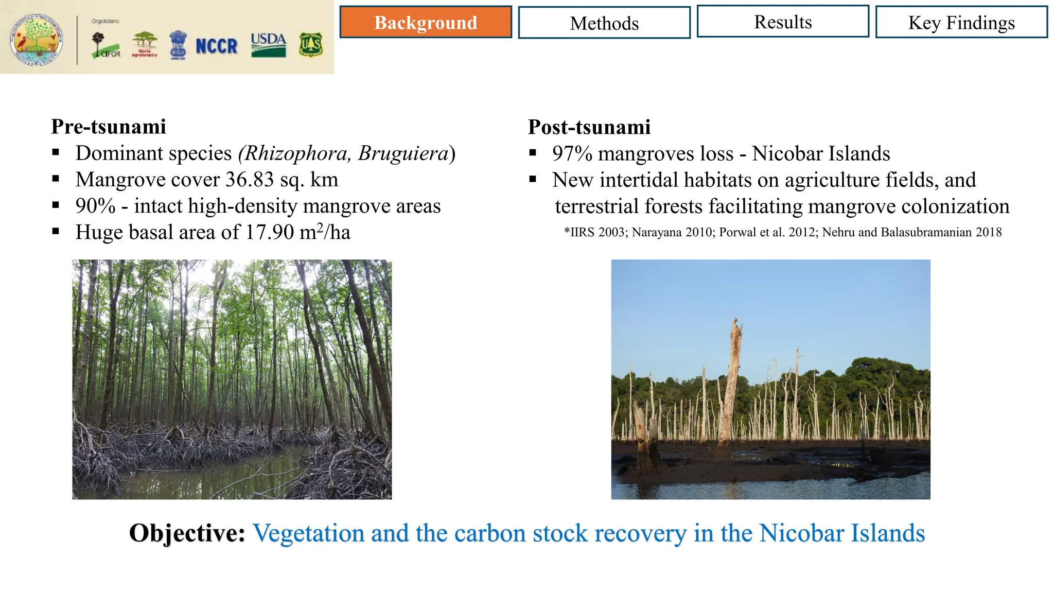 Loss and Gains: Two Decades of Post-Tsunami Mangrove and Carbon Stock ...