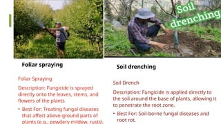 Chemical control of plant diseases .pptx