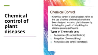 Chemical control of plant diseases .pptx