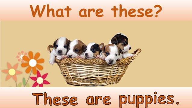 this-and-these-sentence-pattern-picture-description-exercises-reading ...