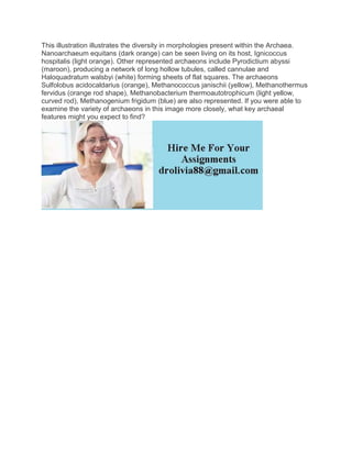 This illustration illustrates the diversity in morphologies present wi.docx