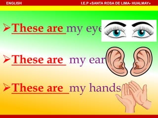 THIS IS - THESE ARE _2DO _SRL.pptx