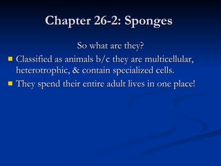 Leaves, Roots, And Stems | PPT