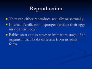 Leaves, Roots, And Stems | PPT