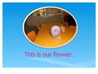 This is our school | PPT