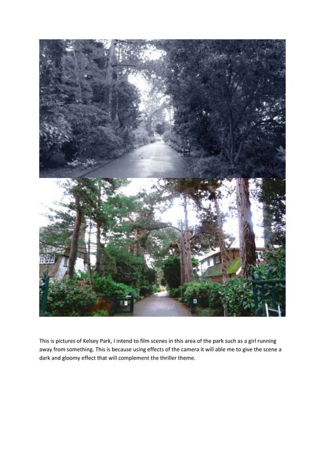 Pictures of kelsey park with added camera effects | DOCX