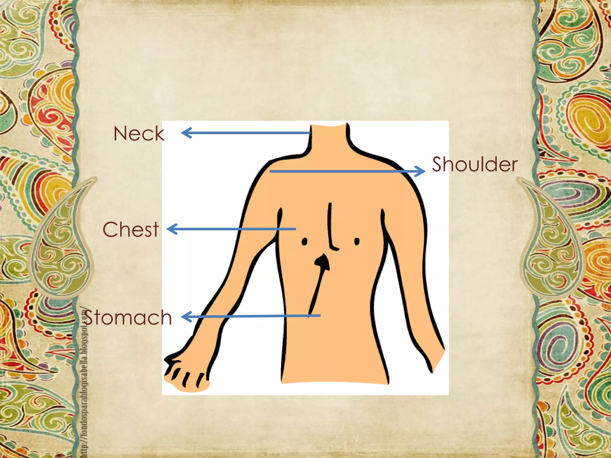 This is your body | PPT
