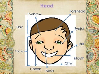 This is your body | PPT