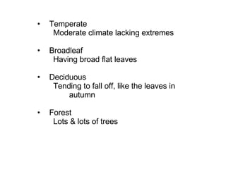 Temparate Broadleaf Deciduous Forest | PPT