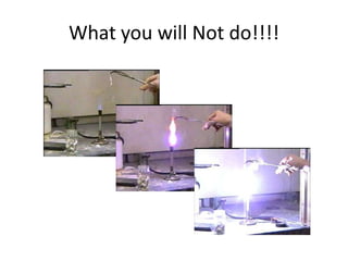 This one magnesium lab | PPT