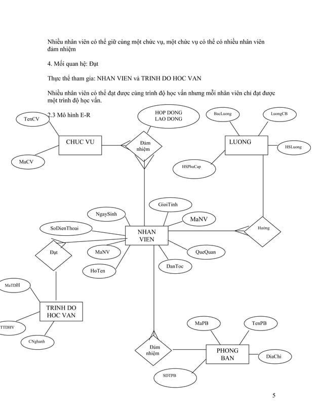 Thiết kế csdl quản lý nhân sự | PDF