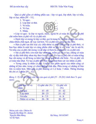 Thiết kế hệ thống sấy hầm sấy cà phê nhân năng suất 1000 kg khô.h | PDF