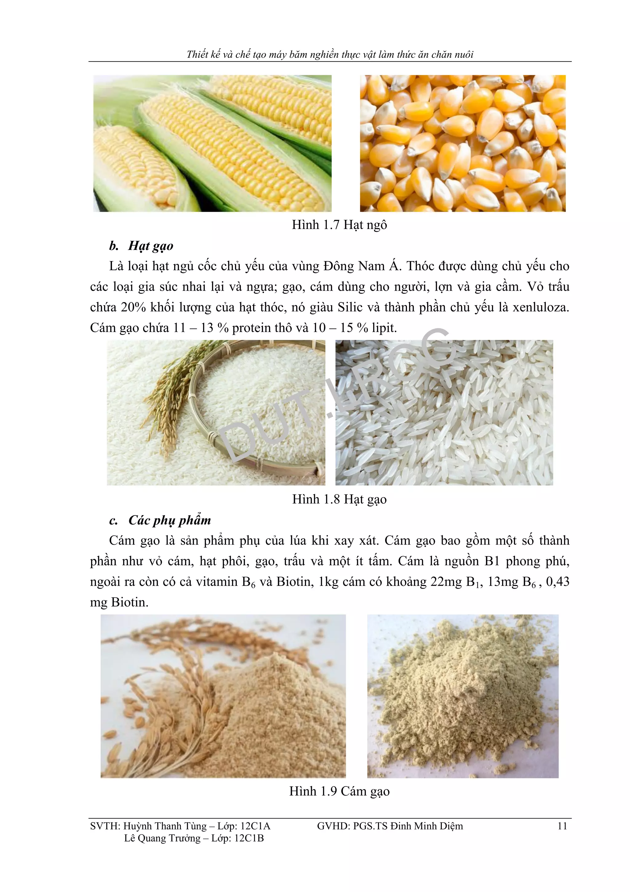 Thiết kế và chế tạo máy băm nghiền thực vật làm thức ăn chăn nuôi.pdf