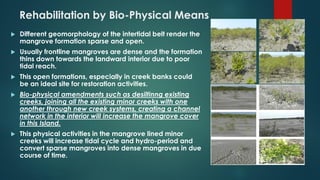Evolving strategies in Mangrove Plantation in Gujarat: A new Era of ...