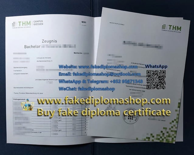 Obtain a THM diploma and transcript, the official documents from Technische Hochschule ...