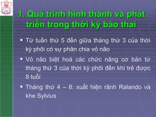 Thần kinh - ĐĐ giải phẫu, sinh lí.pdf rất hay | PDF