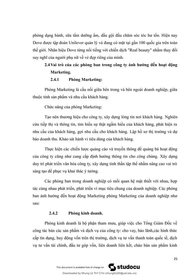 thnn1-phan-tich-chien-luoc-san-pham-dove.pdf