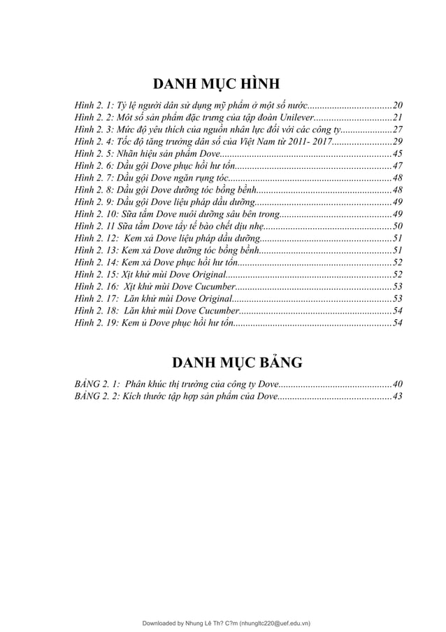 thnn1-phan-tich-chien-luoc-san-pham-dove.pdf