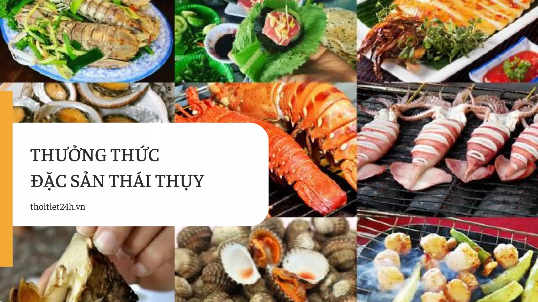 Thoi tiet Thai Thuy Thai Binh | PPT