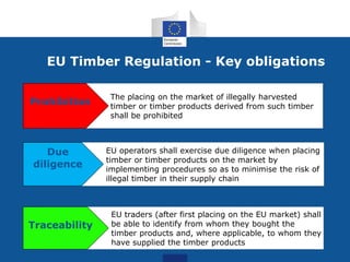 FLEGT: insights, impacts and synergies with key markets | PPT