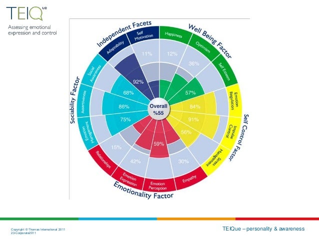 Thomas Ppa Assessments Disc Profile