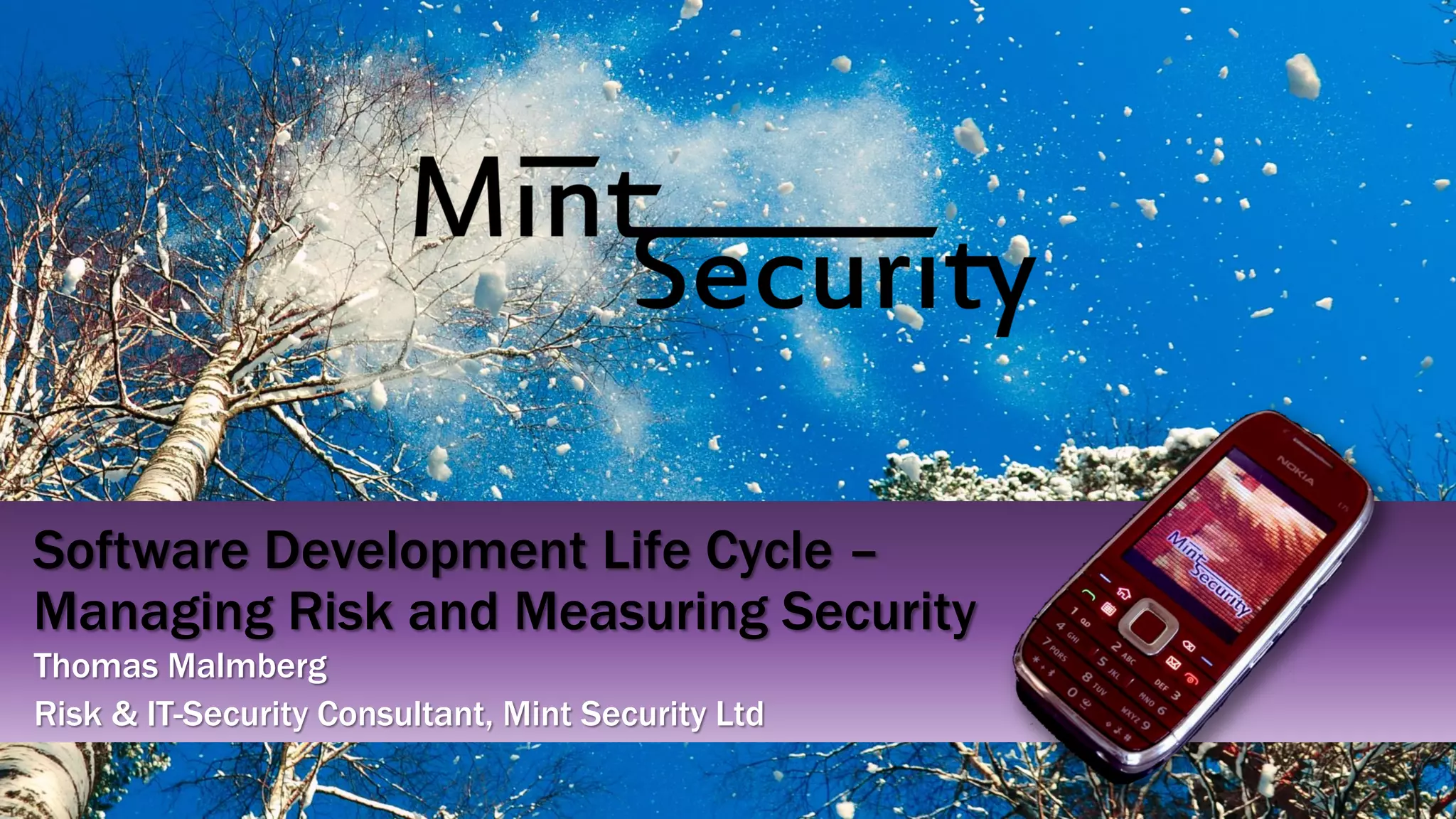 Software Development Life Cycle – Managing Risk and Measuring Security | PDF