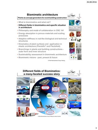 Thomas Speck: Biomimetic architecture | PDF