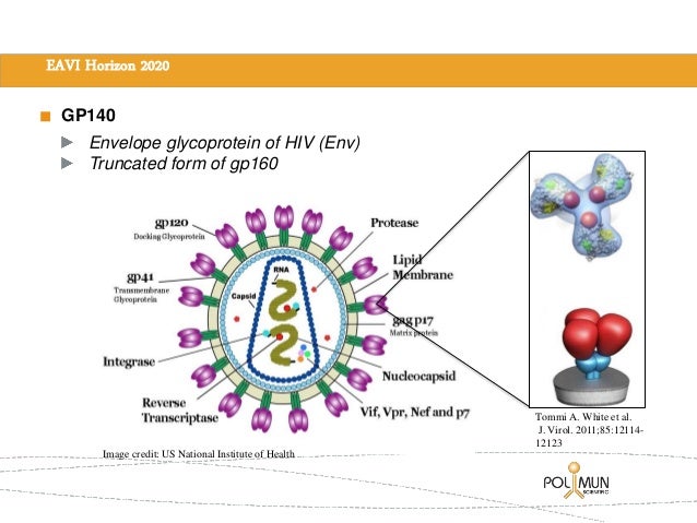 Thomas Sterovsky - Polymun Scientific (Vienna Conference, April 2016)
