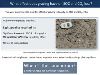 Andrew David THOMAS " The carbon conundrum in communal African ...