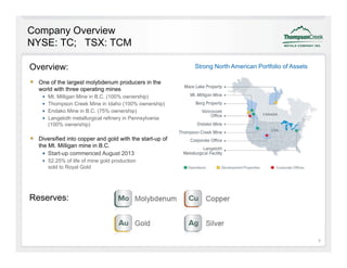 TCM Investor Presentation Nov 2013 | PDF