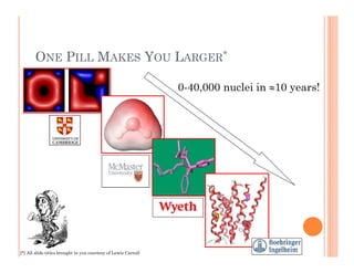 Down the Rabbit Hole: An academic's thoughts on being in industry | PPT