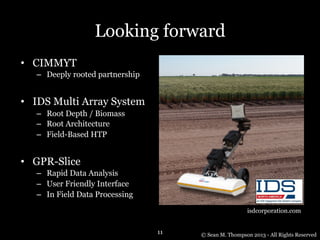 Estimating wheat root biomass using ground penetrating radar | PDF ...