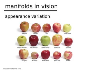 Manifold learning with application to object recognition | PDF