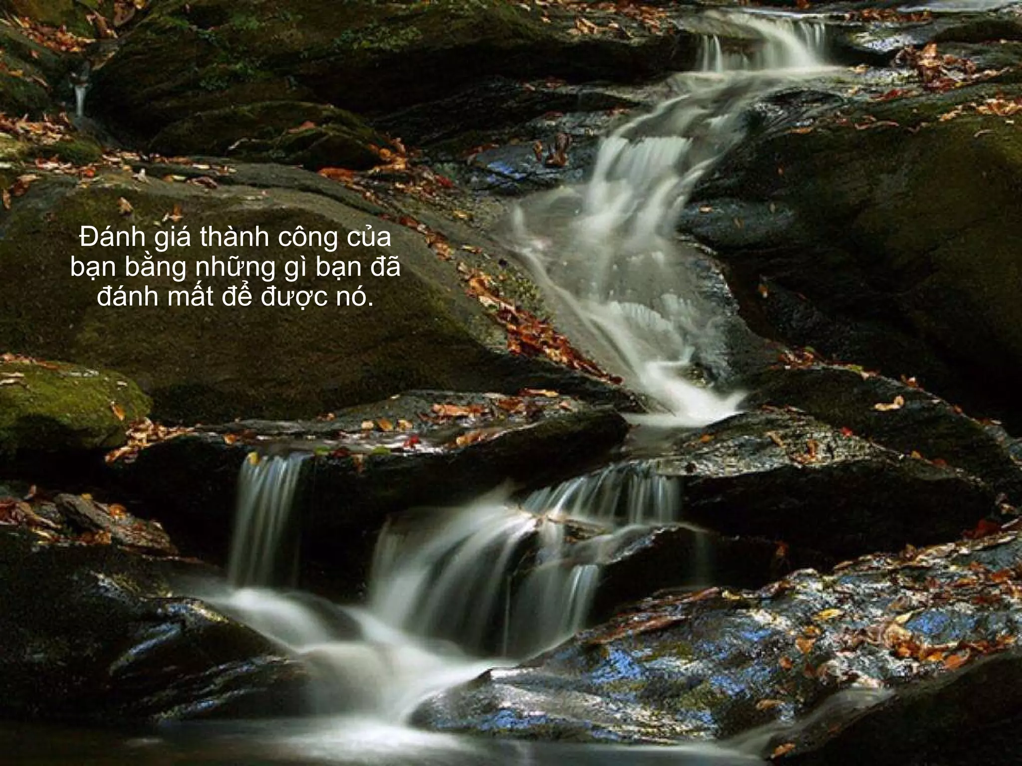 Thong Diep Cua Duc Da Lai La Ma 2009 | PPT