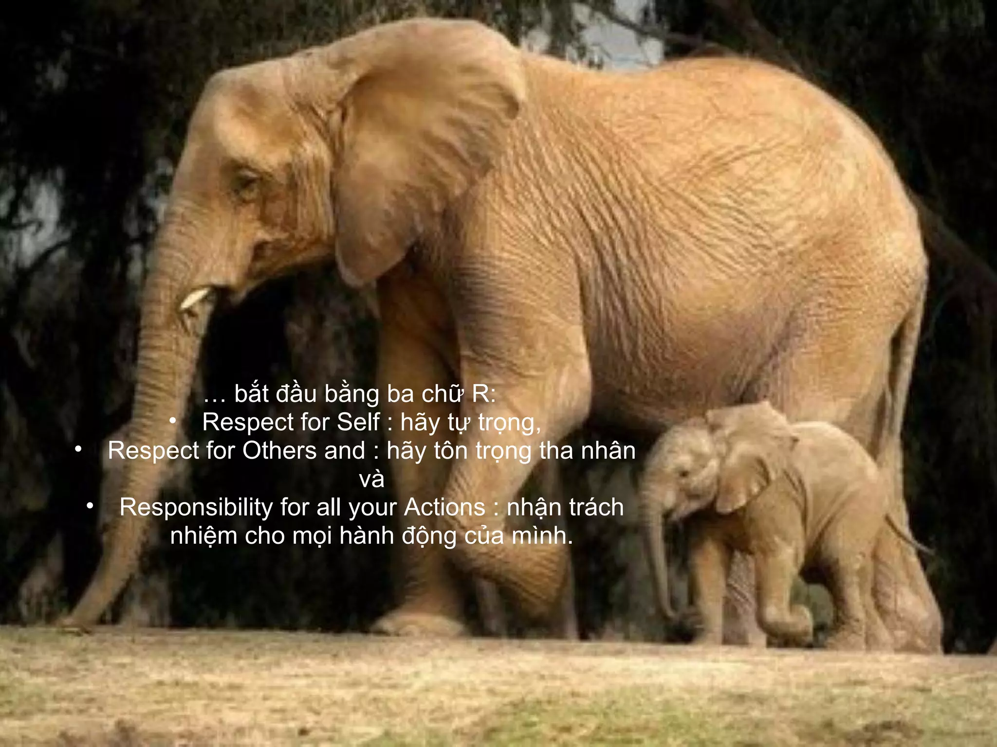 Thong Diep Cua Duc Da Lai La Ma 2009 | PPT