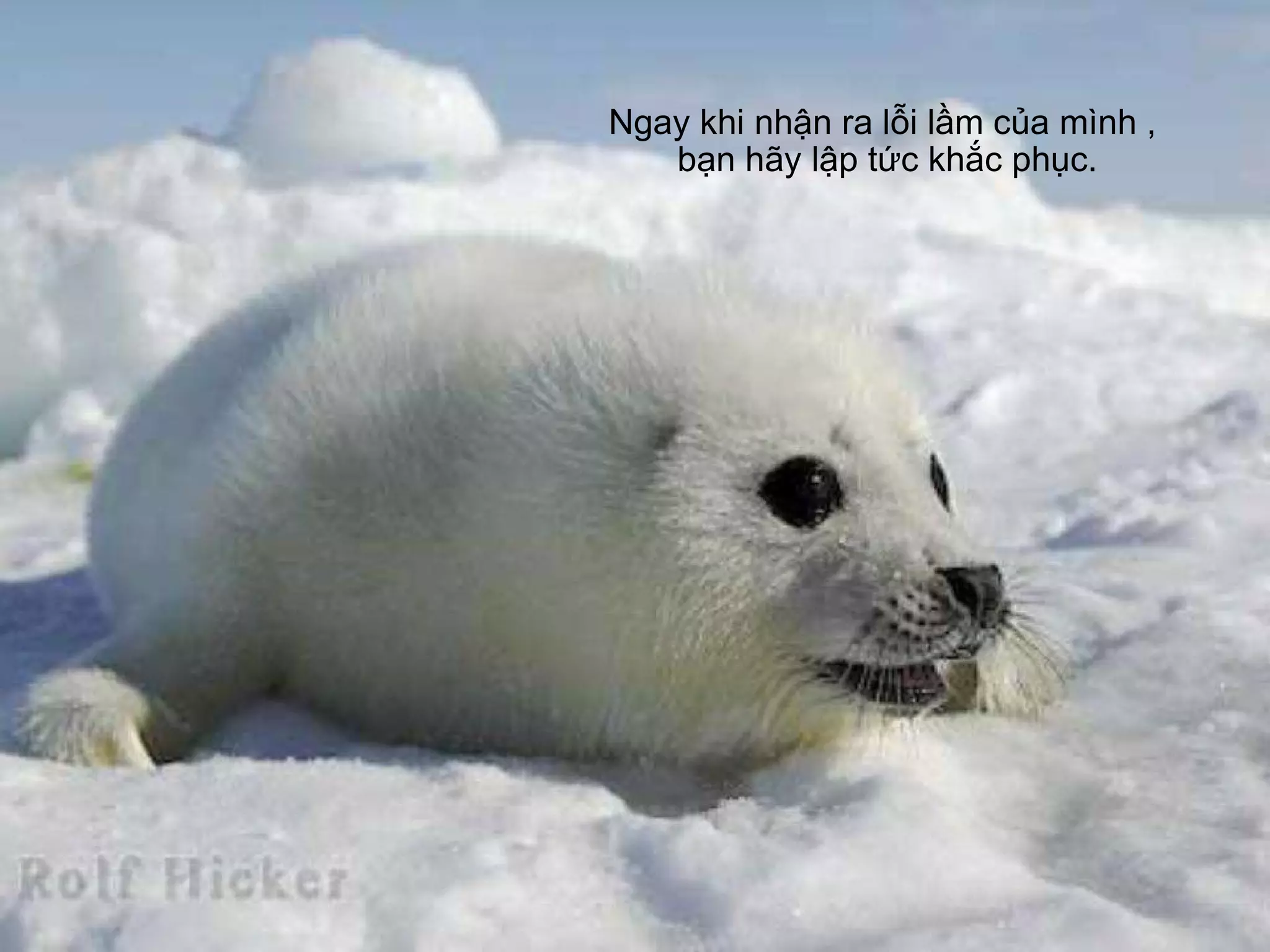 Thong Diep Cua Duc Da Lai La Ma 2009 | PPT