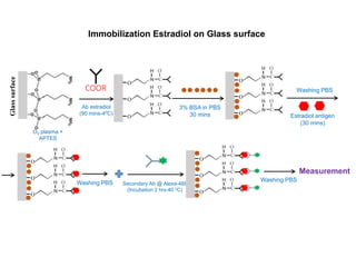 THONG TIN VE Ab-2ndAb.pptx