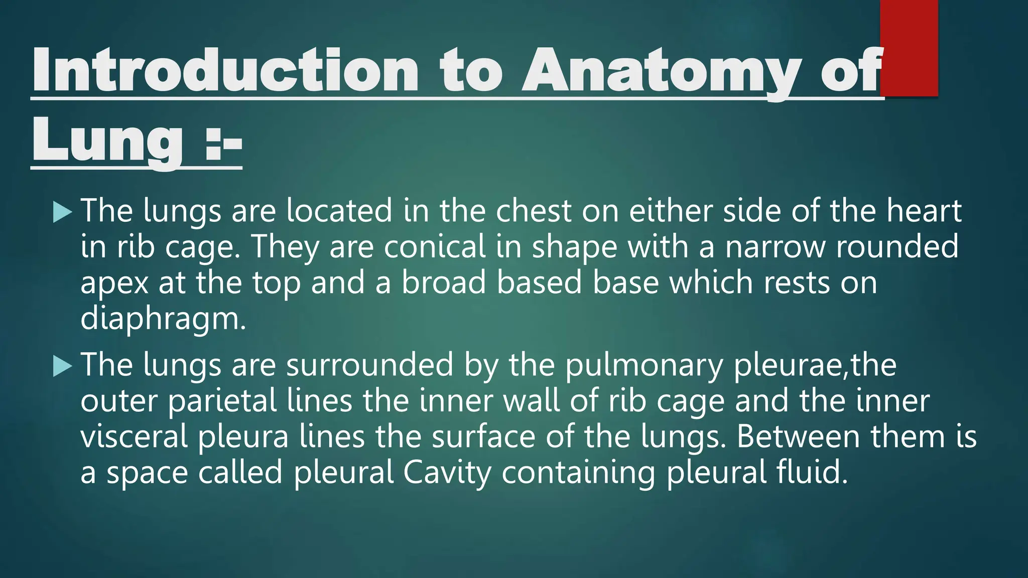 Procedure Practical - thoracentesis.pptx