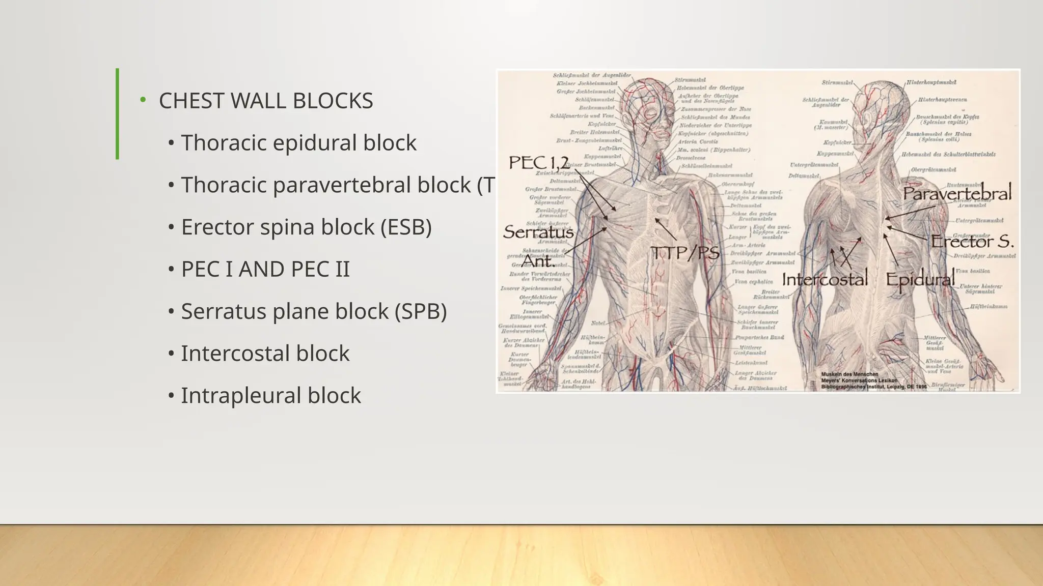 ANESTHESIA Thoracic & abdominal wall blocks.pptx
