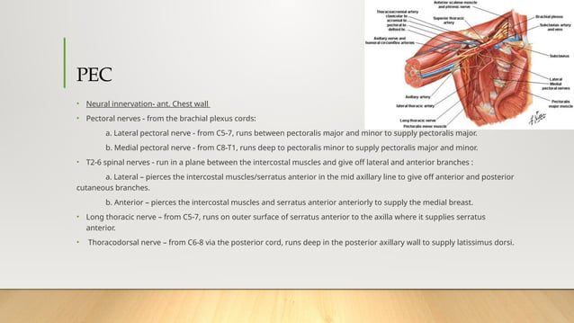 ANESTHESIA Thoracic & abdominal wall blocks.pptx