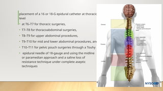 ANESTHESIA Thoracic & abdominal wall blocks.pptx