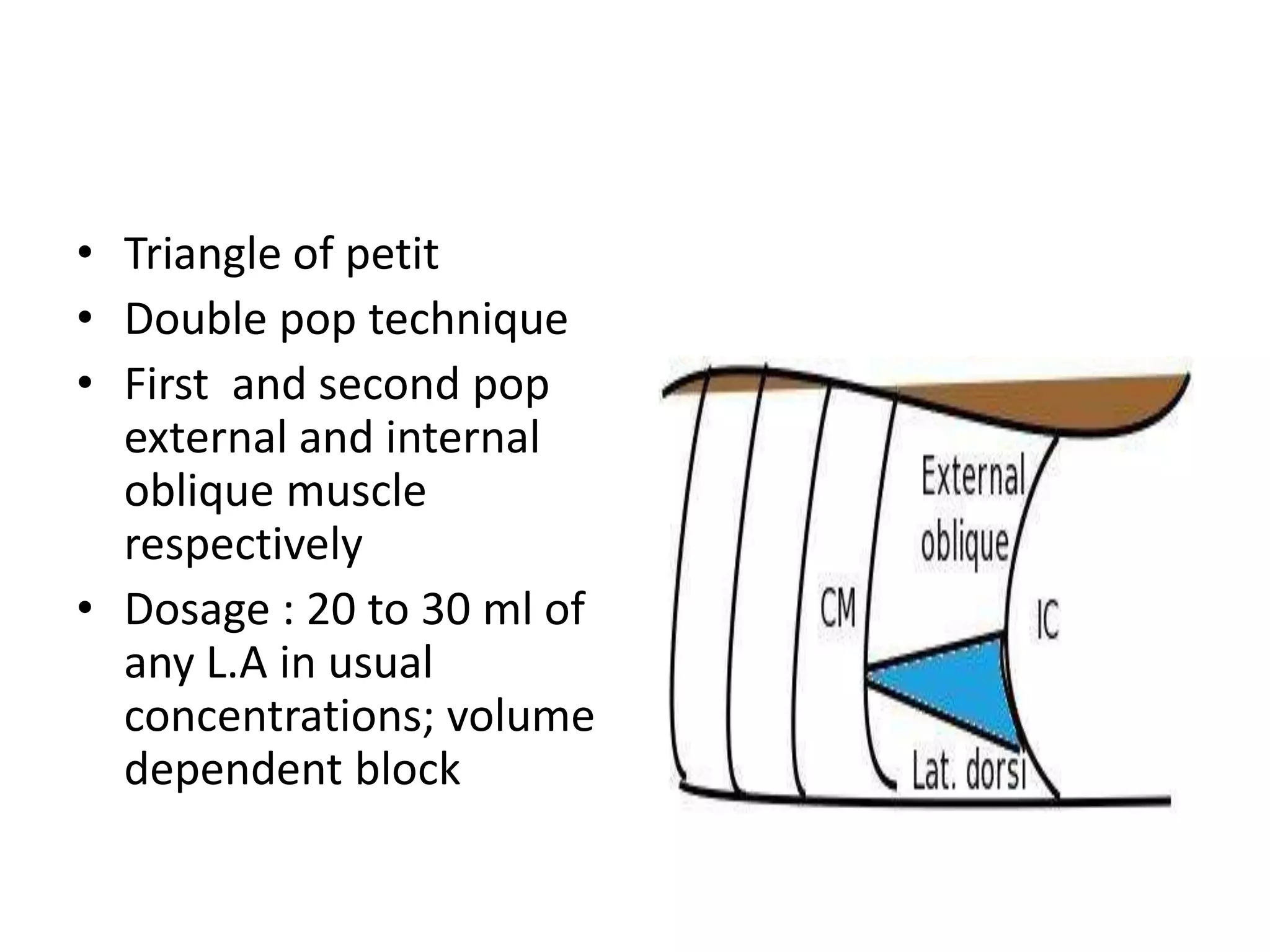 Thoracic and abdominal nerve blocks | PPTX