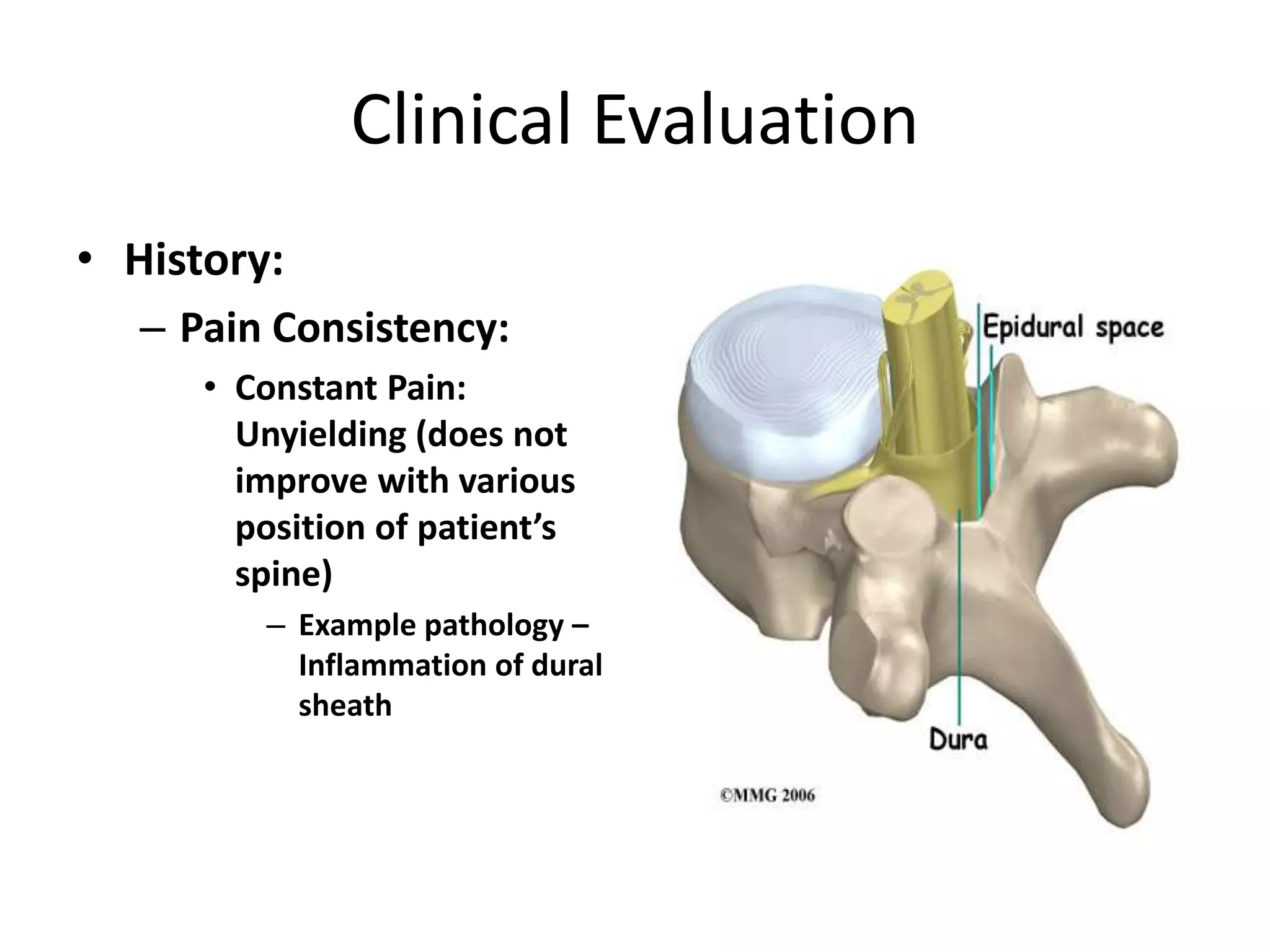thoracic and lumbar spine-1.pptx